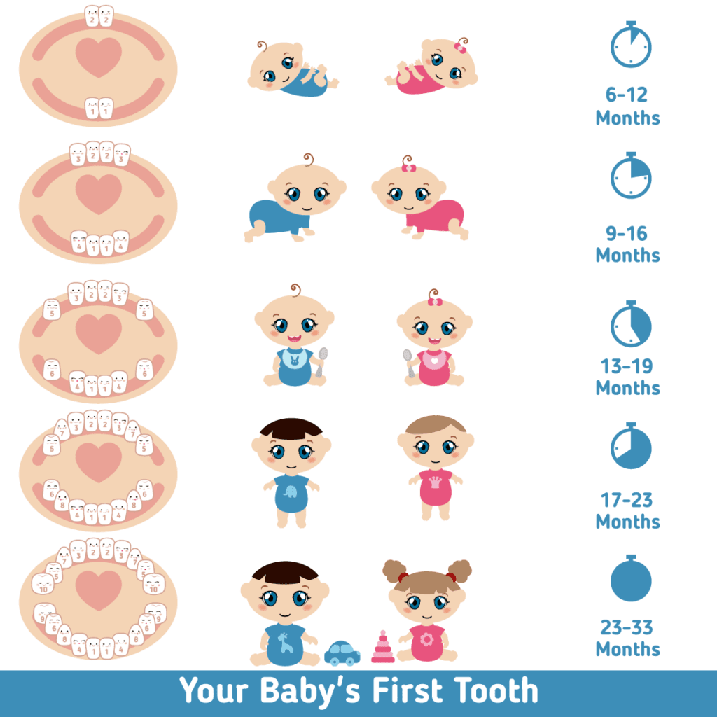 Baby Teething: Signs, Symptoms, Remedies, and FAQs - St. Johns ...